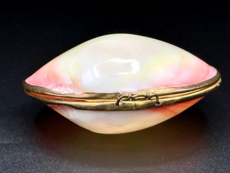 Italian Luxury Mother of Pearl Trinket Box Real Shell Brass Hinged One ...