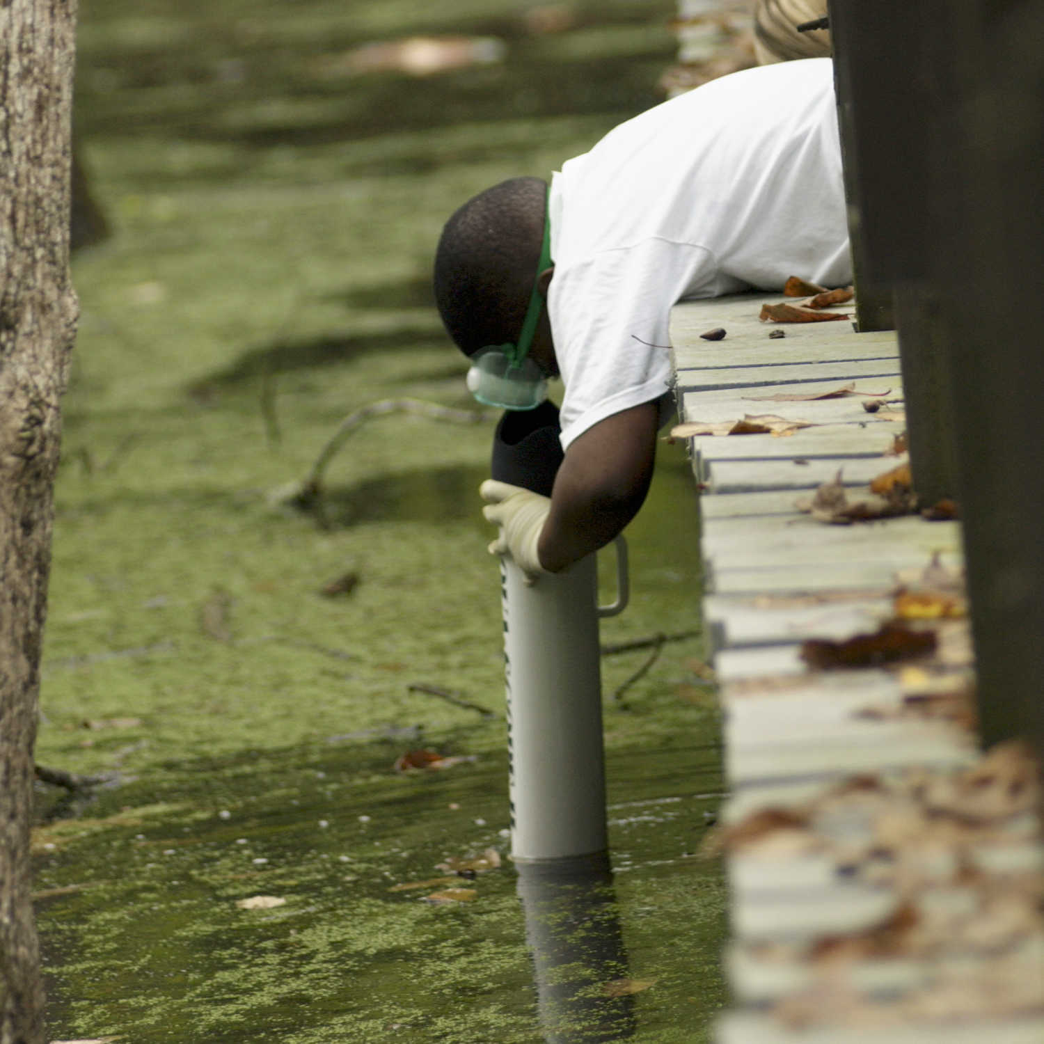 Fieldmaster Aquavue Underwater Viewer | eBay