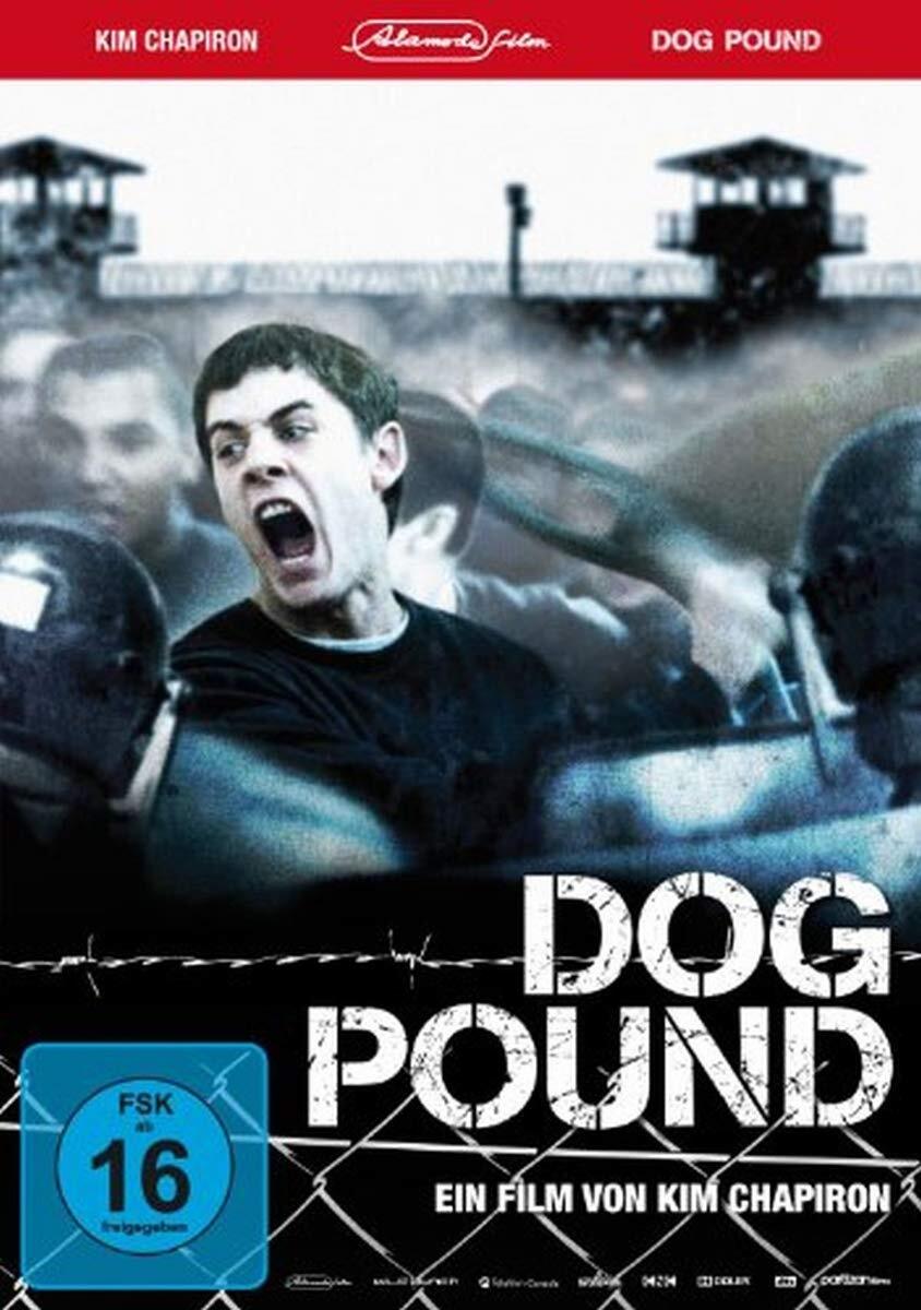 Dog Pound Mateo Morales Now