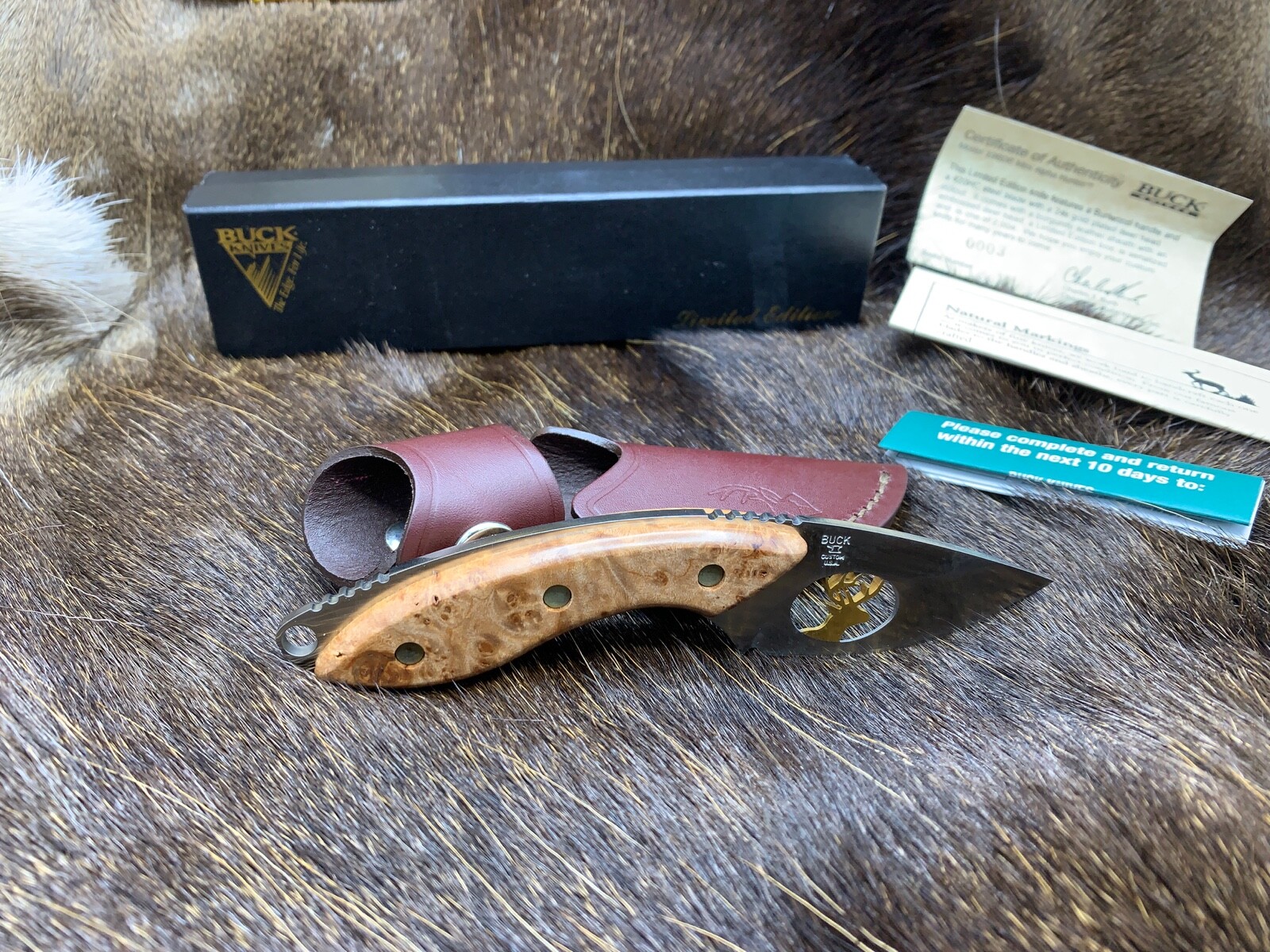 Buck Mini Alpha Knife Burlwood Handles Gold Battling Bucks - SN0003 ...
