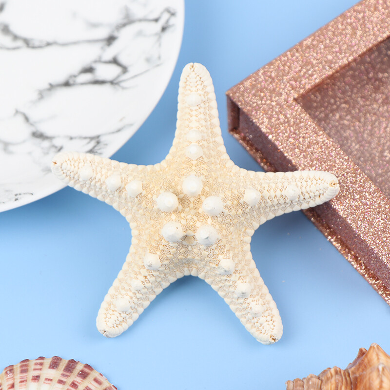 Starfish Crafts Decor Starfish DIY Shell Sea Fish Party Beige Starfish ...