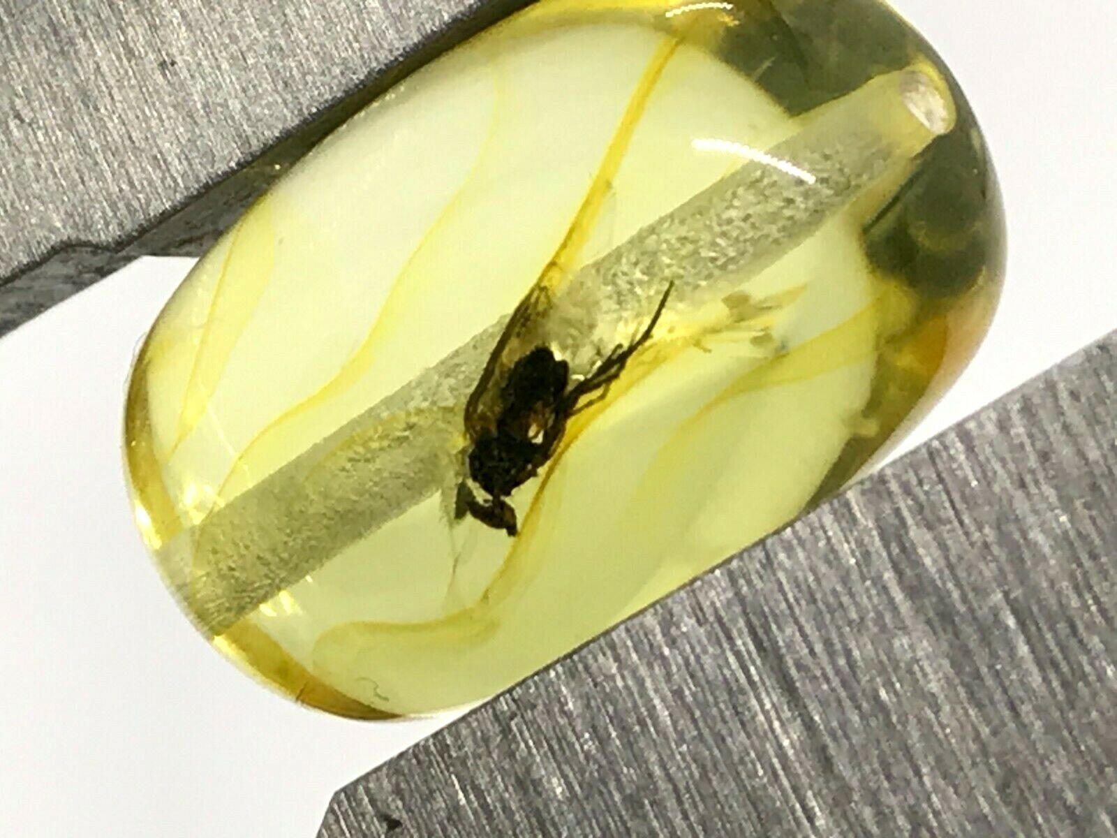AMBER Insect Gift Barrel Bead DRILLED For Prayer Bracelet Necklace ...
