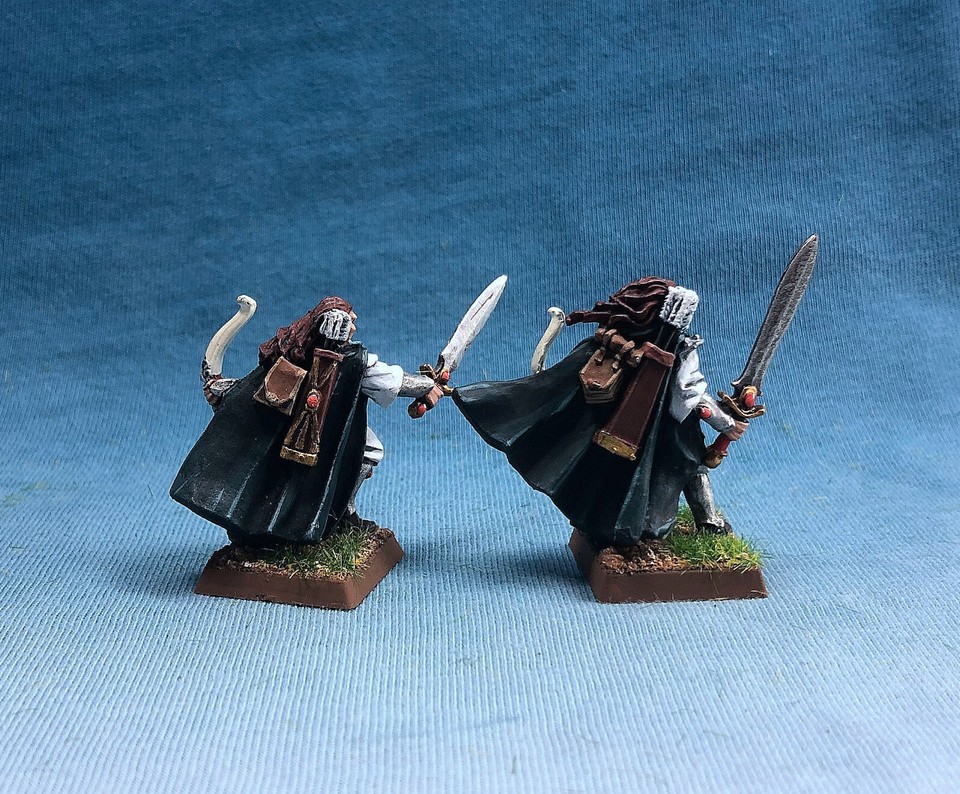 Warhammer WGS Painted High Elf Shadow Warriors Command HE118 | eBay