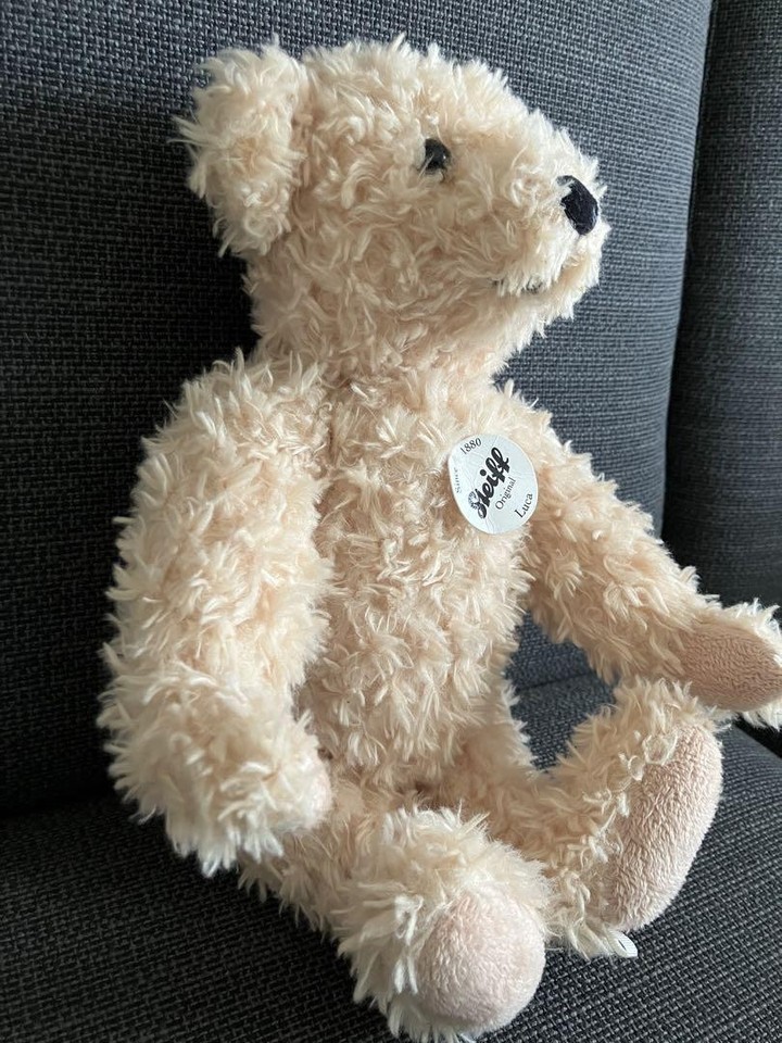 Steiff Teddy Bear Luca 13.8in 5-Joint Plush Non-Smoking Used Japan ...
