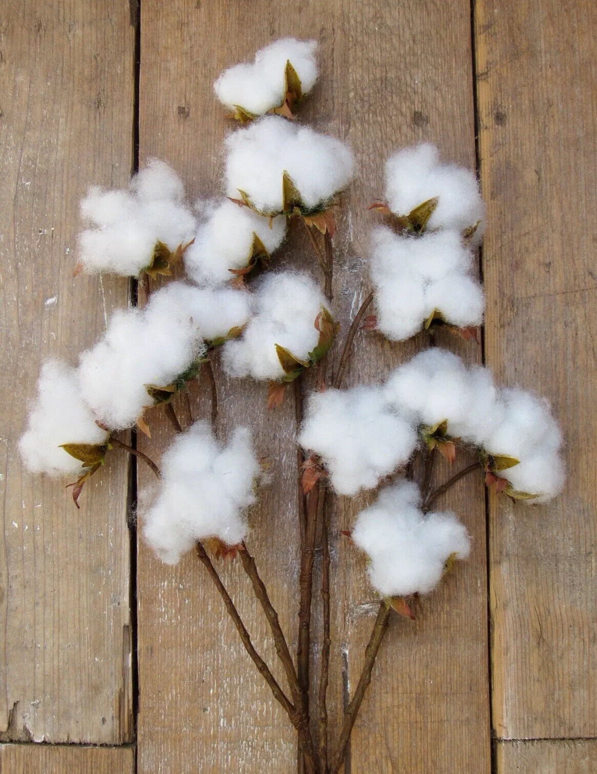 Realistic Artificial Open Cotton Spray/ Faux Cotton Pod Stems Flower ...