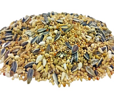 COCKATIEL & PARAKEET - (350g to 20kg) - Exotic Lovebirds Caged Bird ...