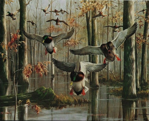 Maynard Reece, Ducks, Water, Trees, Mallards 9 5/8x7.75" Sample Print ...