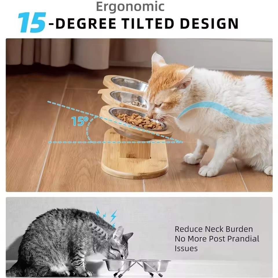 Elevated Cat Bowls Raised Food Bowls 15° Tilted Pet Bowls for Cats and ...