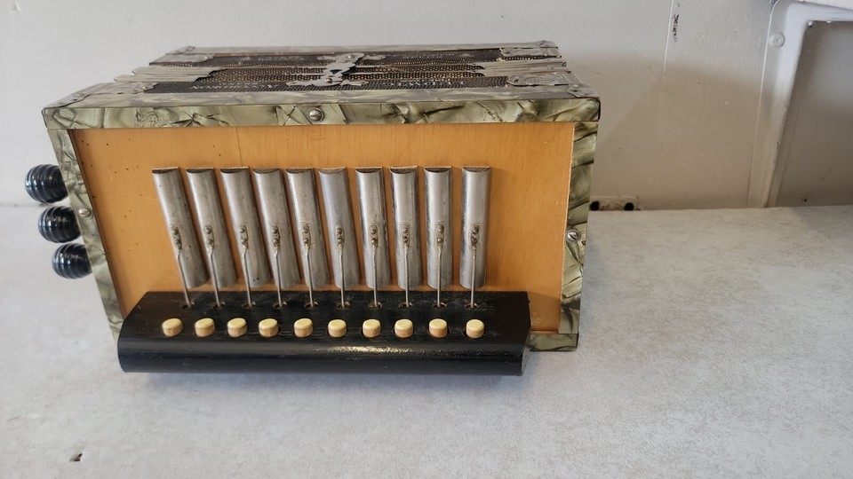 Gebr. Ludwig Accordion Steel Bronze Pine Tree Squeeze Box + Reeds ...
