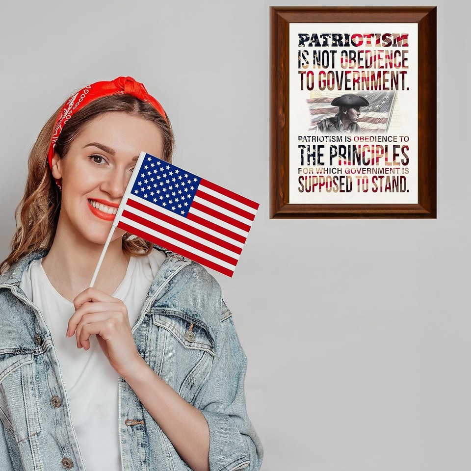 Patriotism Not Obedience - Patriotic Motivational Wall Art - Man Cave ...