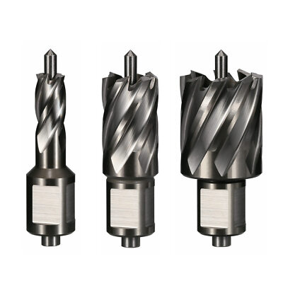 12 - 60mm HSS Rotabroach Annular Mag Drill Hole Saw Depth 30mm Weldon Shank | eBay UK