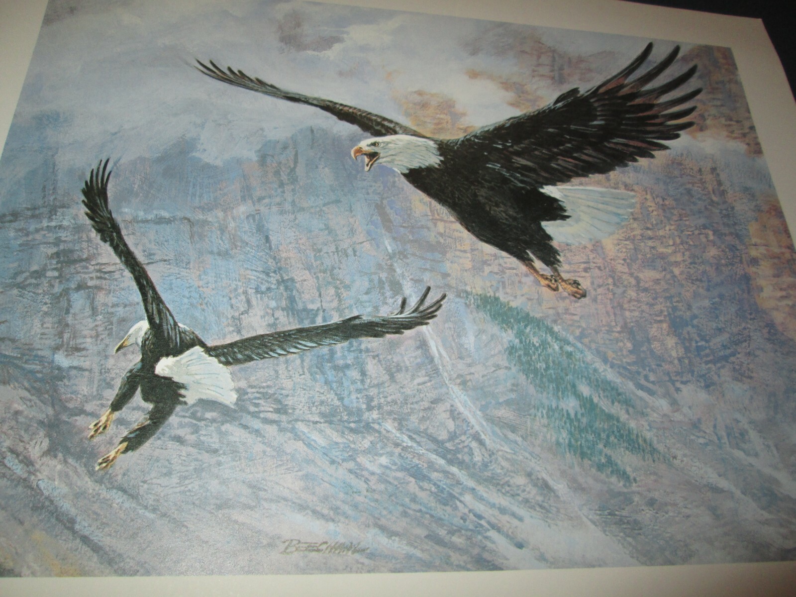 Bald Eagle Tom Beecham Remington Wildlife Art Collection Print 1975 ...