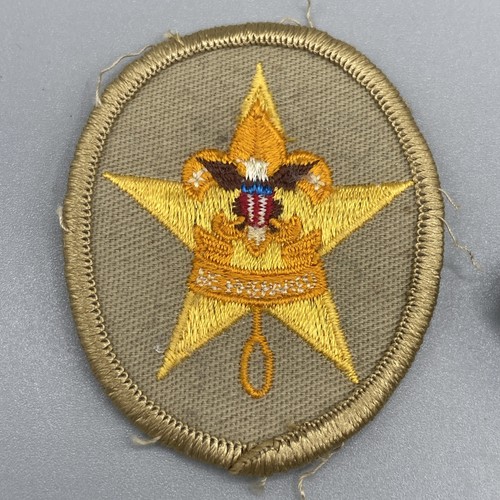 Vintage BSA Boy Scouts of America Insignia Pins patch Bear Wolf Tiger ...