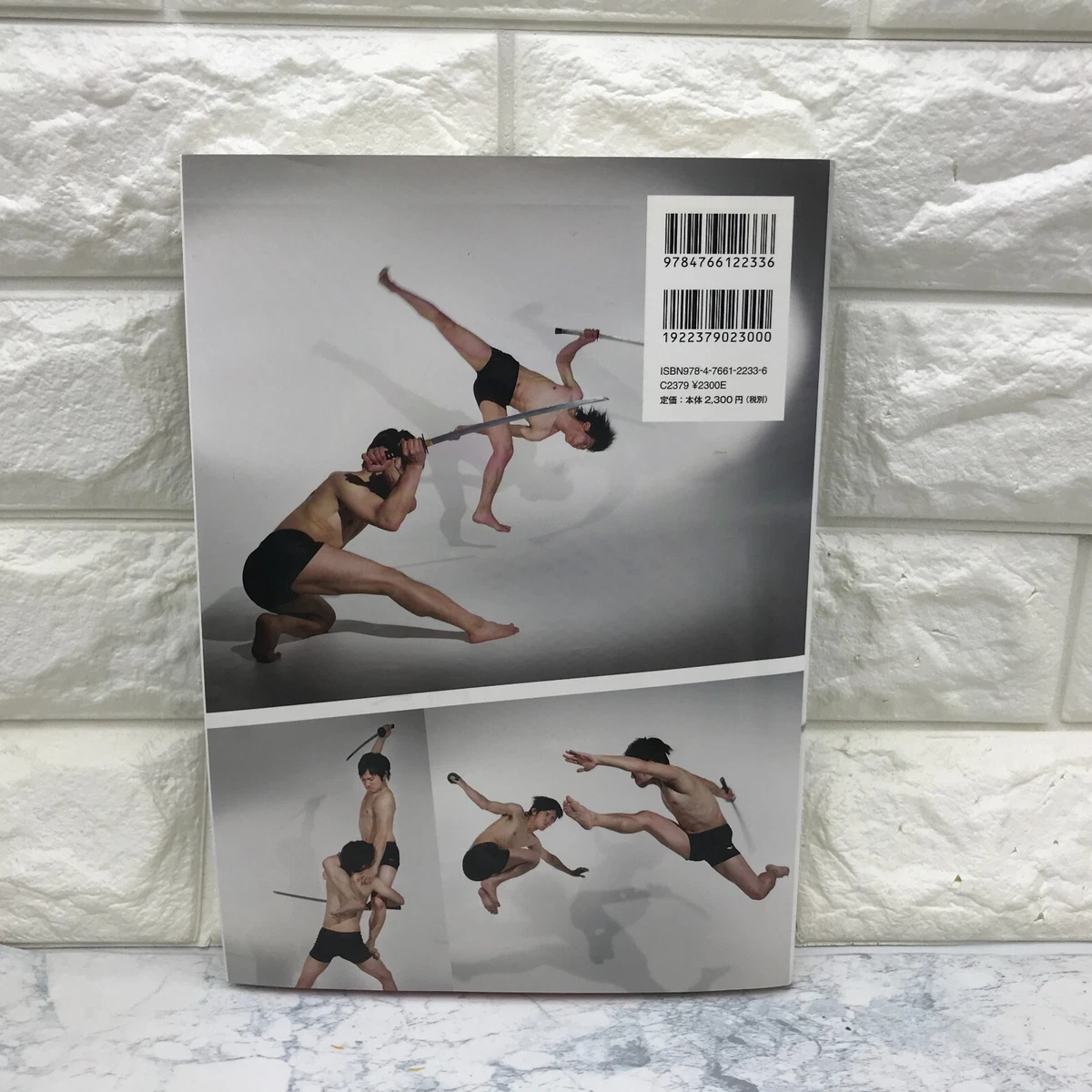 Action Pose Reference Sword