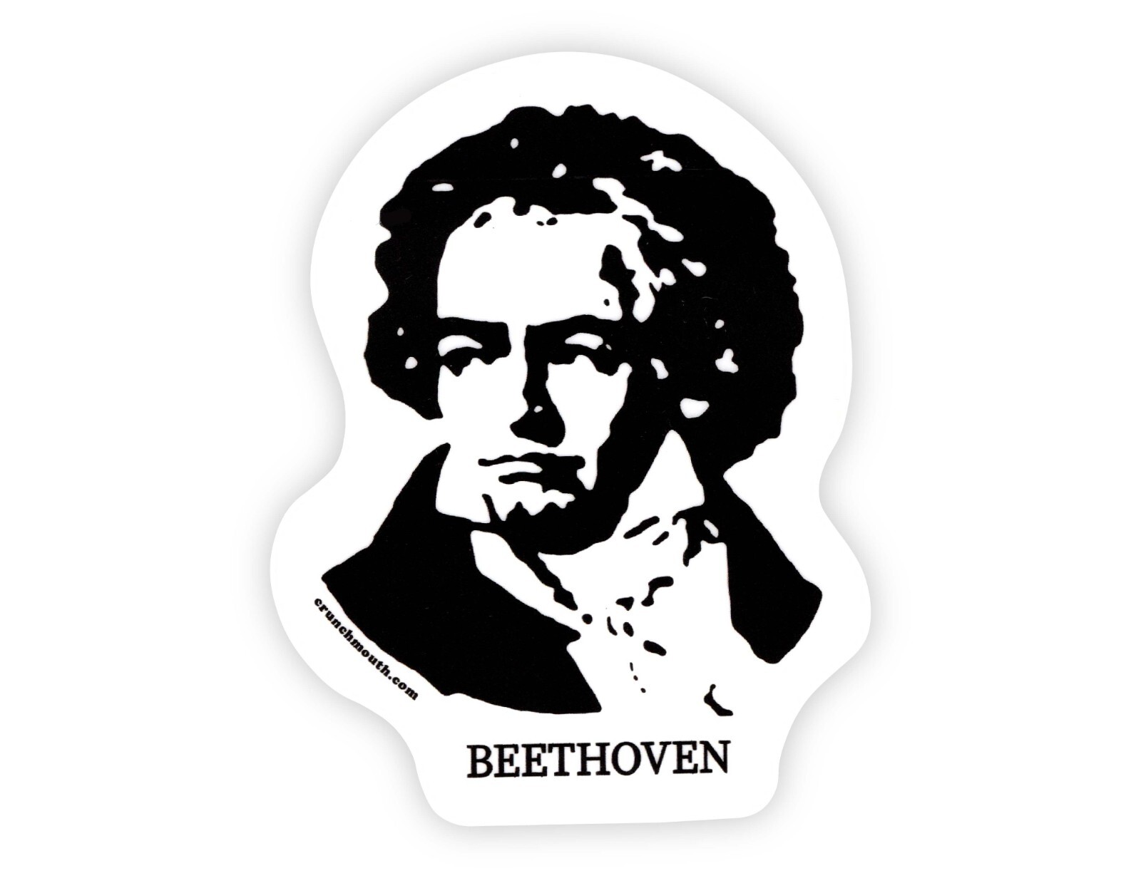 LUDWIG VAN BEETHOVEN CLASSICAL MUSIC COMPOSER STICKER DECAL | eBay