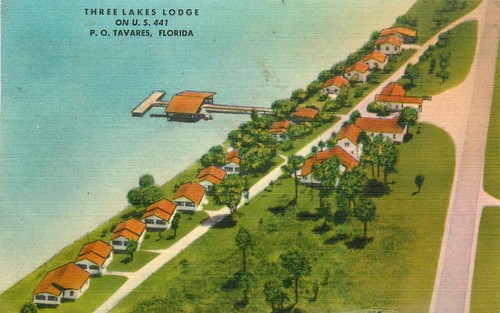 Florida, FL, Tavares, Three Lakes Lodge 1953 Linen Postcard | eBay