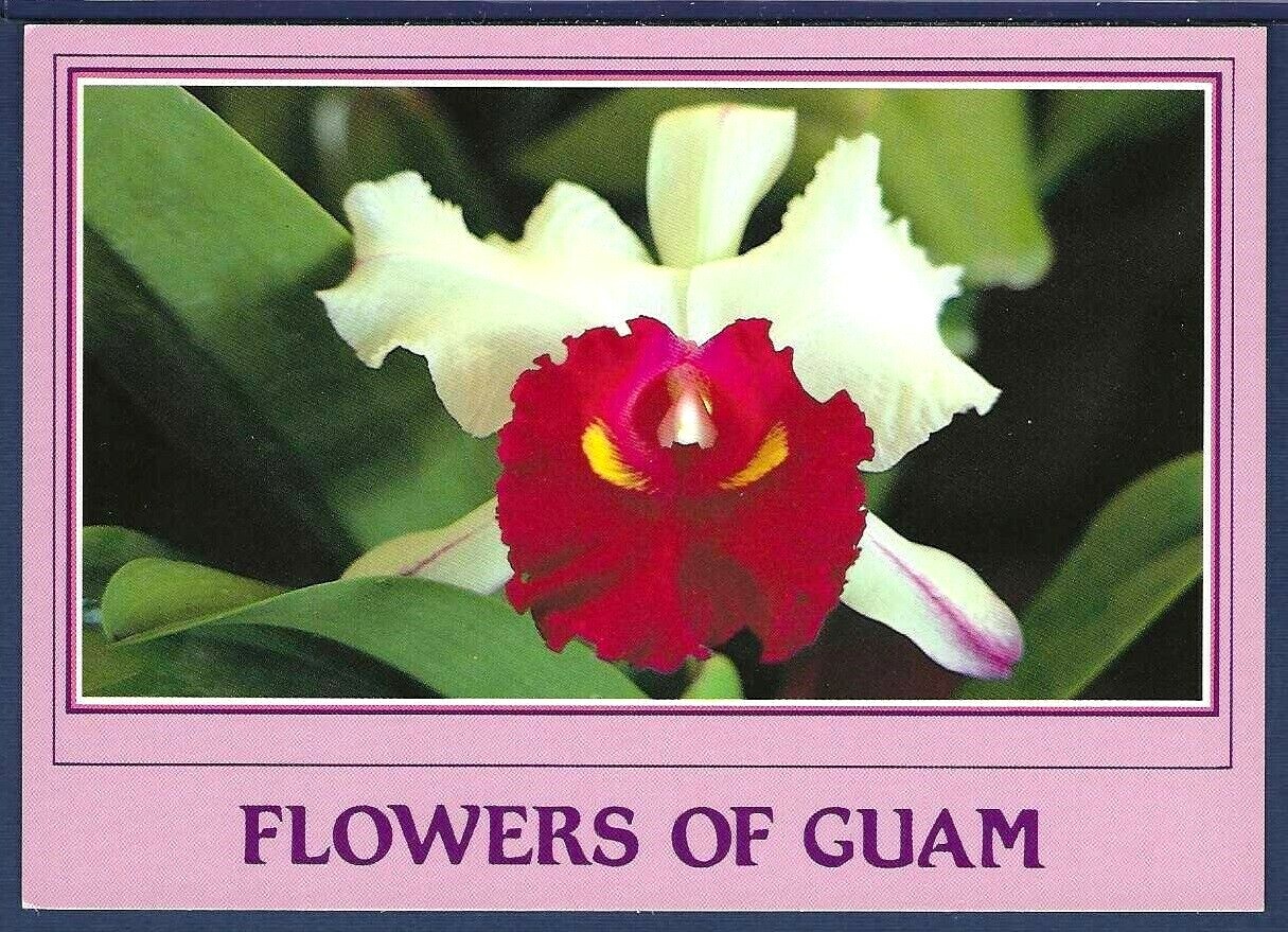 Flowers of Guam - Orchid | eBay
