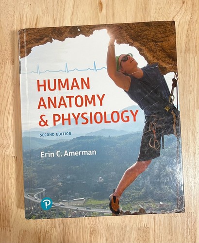 Human Anatomy & Physiology 2nd Edition by Erin Amerman Hardcover ...