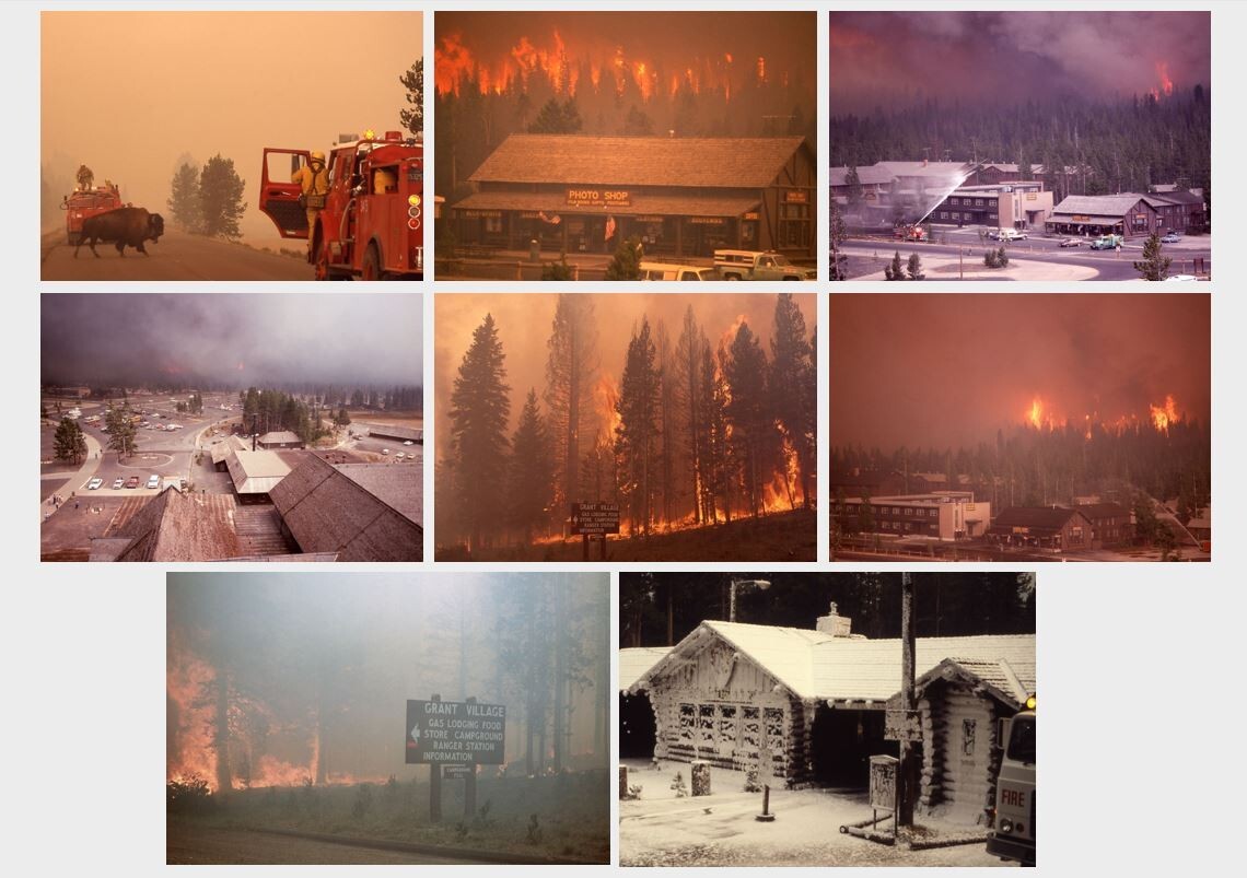 Yellowstone Fires Of 1988 1988: Brand In Yellowstone Tioga Tours