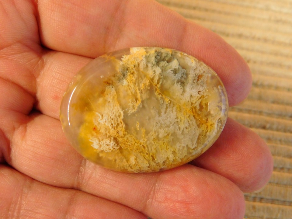 Graveyard Point Plume Agate Polished Cabochon - Owyhee Mountain Oregon ...