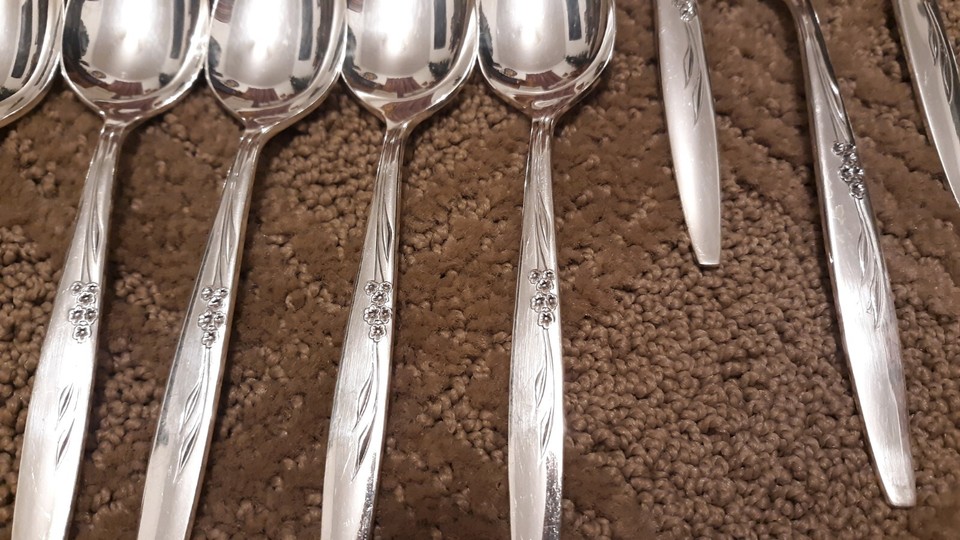 Oneida Community Silverplate Enchantment Gentle Rose Set Case 36 Pcs ...