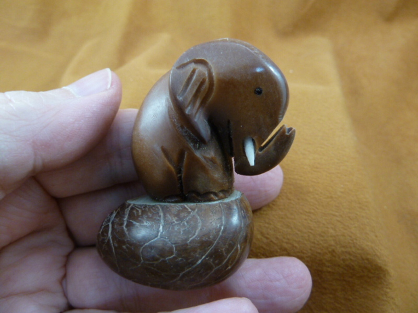 (TNE-ELE-693a) baby tan PACHYDERM TAGUA NUT Figurine Vegetable NUTS ...