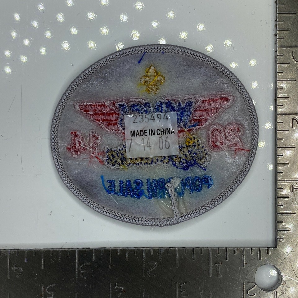 Boy Scout BSA Patch Wings of Exploration 2014 Popcorn Sale | eBay