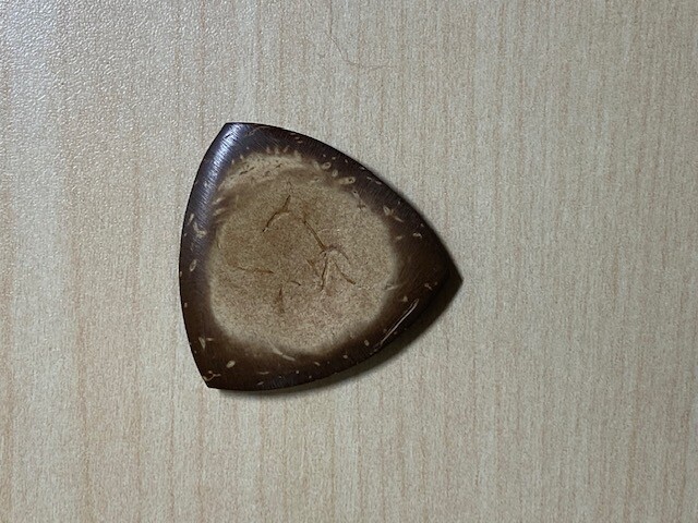 Timber Tones Gypsy Tone Coconut - Single Pick | eBay