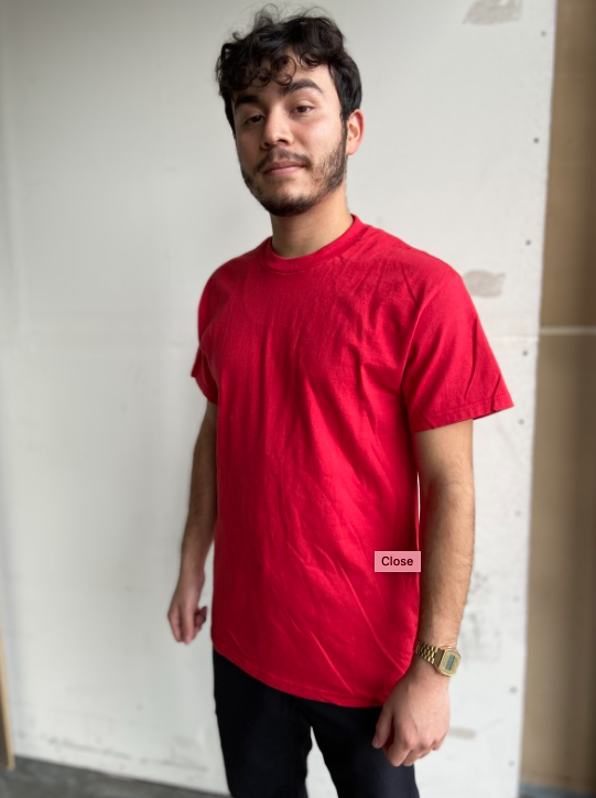 AAA Alstyle Mens Red Short Sleeves Tee Blank T-Shirt Casual T Shirt ...