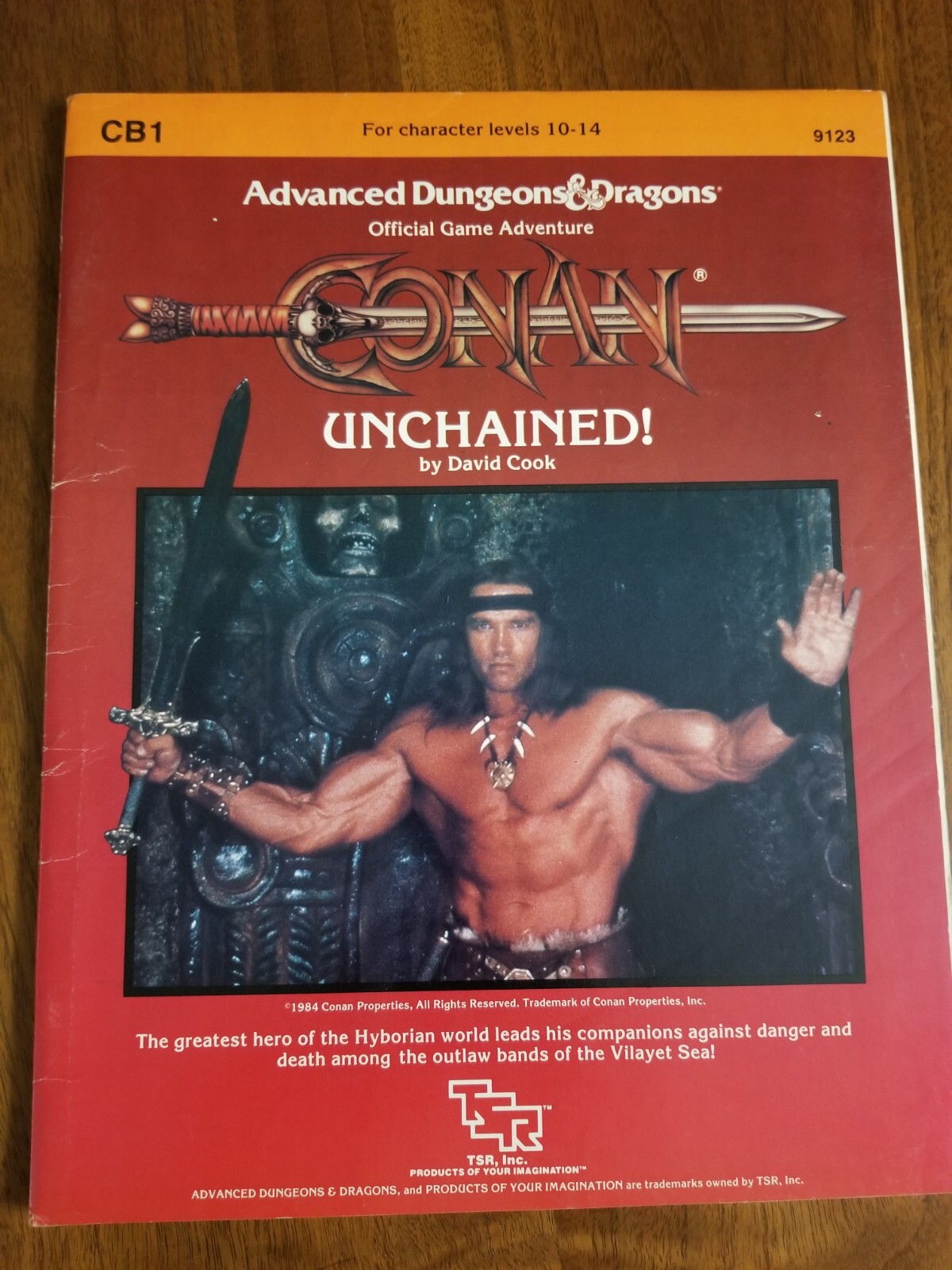AD&D 1st Edition CB1 CB2 Conan Module Set Complete Unchained! Against ...
