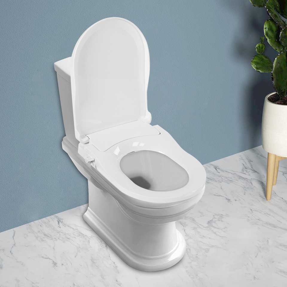 Round Toilet Seat Bidet Rear Non-electric Dual Nozzle Toilet Seat ...