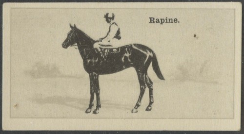 1928 WD & HO Wills New Zealand Race Horses #26 Rapine | eBay