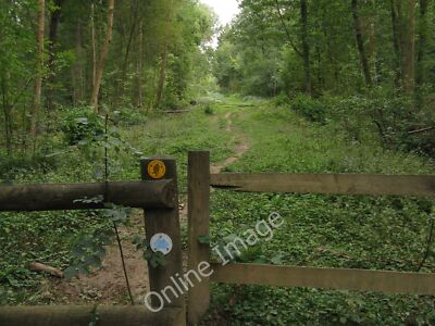 Photo 12x8 Frillinghurst Wood, an open access wood Grayswood c2010 ...