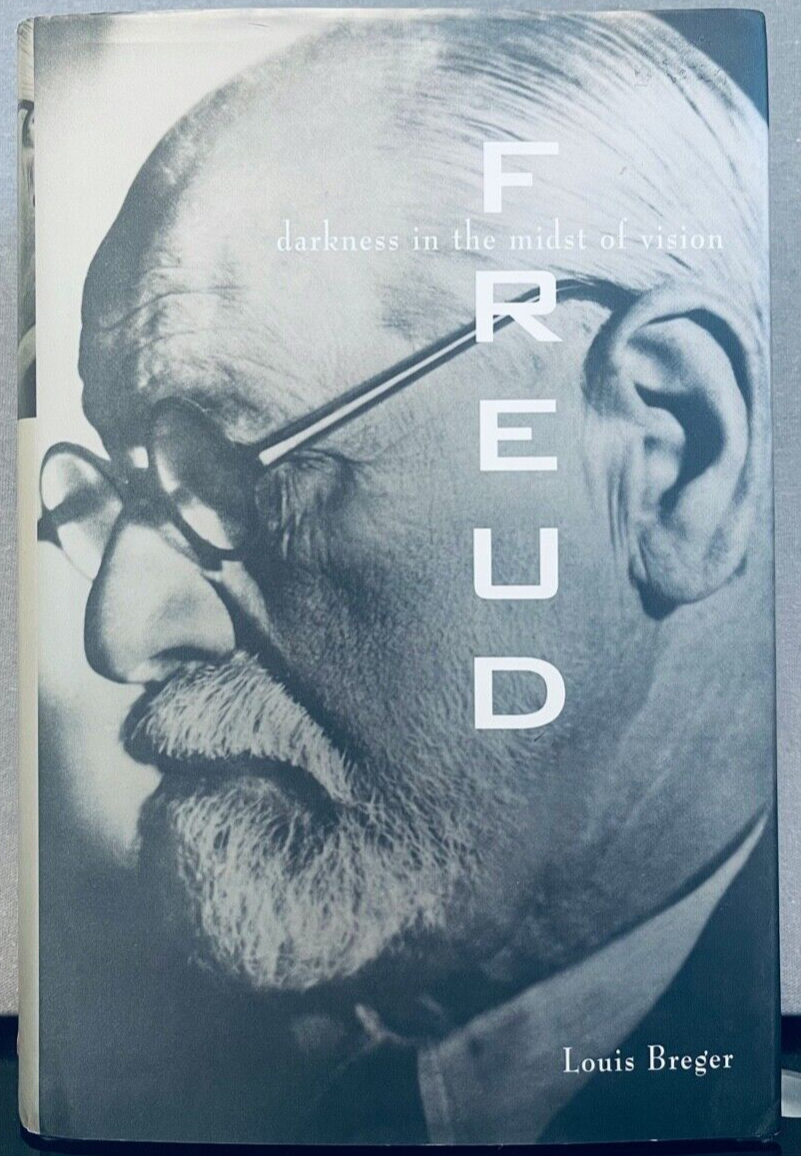 Darkness in the Midst of Vision by Louis Breger - Inscribed 1st Ed 1st ...
