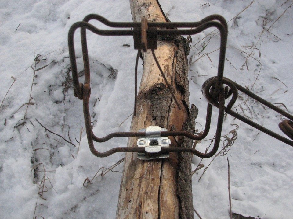 lot (12) Brackets for Conibear Body Gripper 110 120 150 160 Trap traps ...