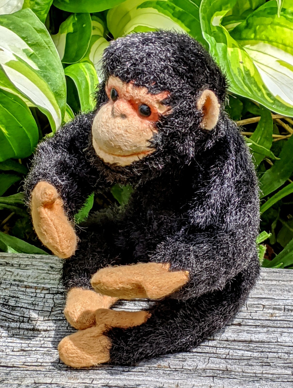 Antique Pre-war Miniature Mohair Steiff/Schüco Pincushion Monkey Toy ...