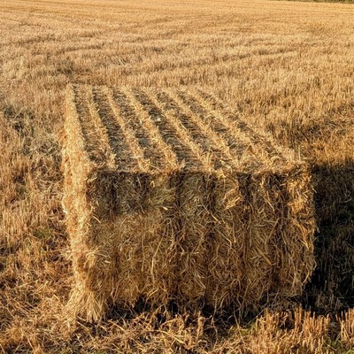 6 string straw bales Stoke on Trent | eBay UK