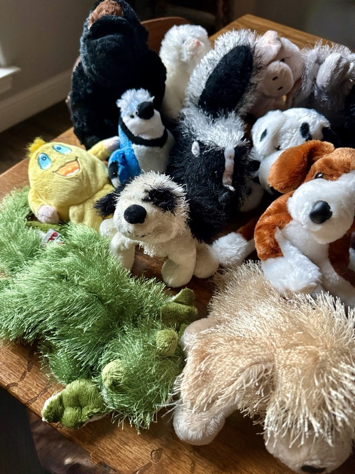 Webkinz Plush LOT 19 Stuffed Animals NO CODES Mixed Sizes Ganz | eBay