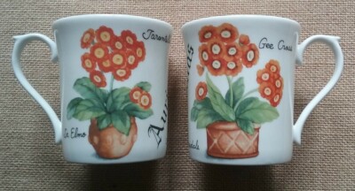 2 Vintage John Sinclair Bone China Coffee Mugs Auriculas GC | eBay UK