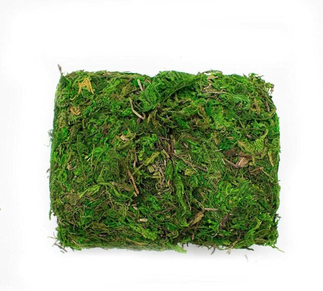 Green dried moss 200g for Christmas wreaths flower arrangements etc for ...