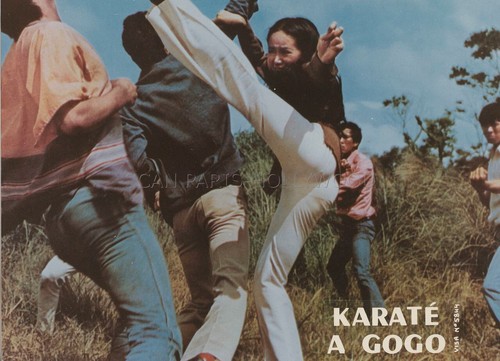 NANCY YEN KARATE A GOGO TIE JIAO WA 1973 PHOTO ORIGINAL #3 HK | eBay