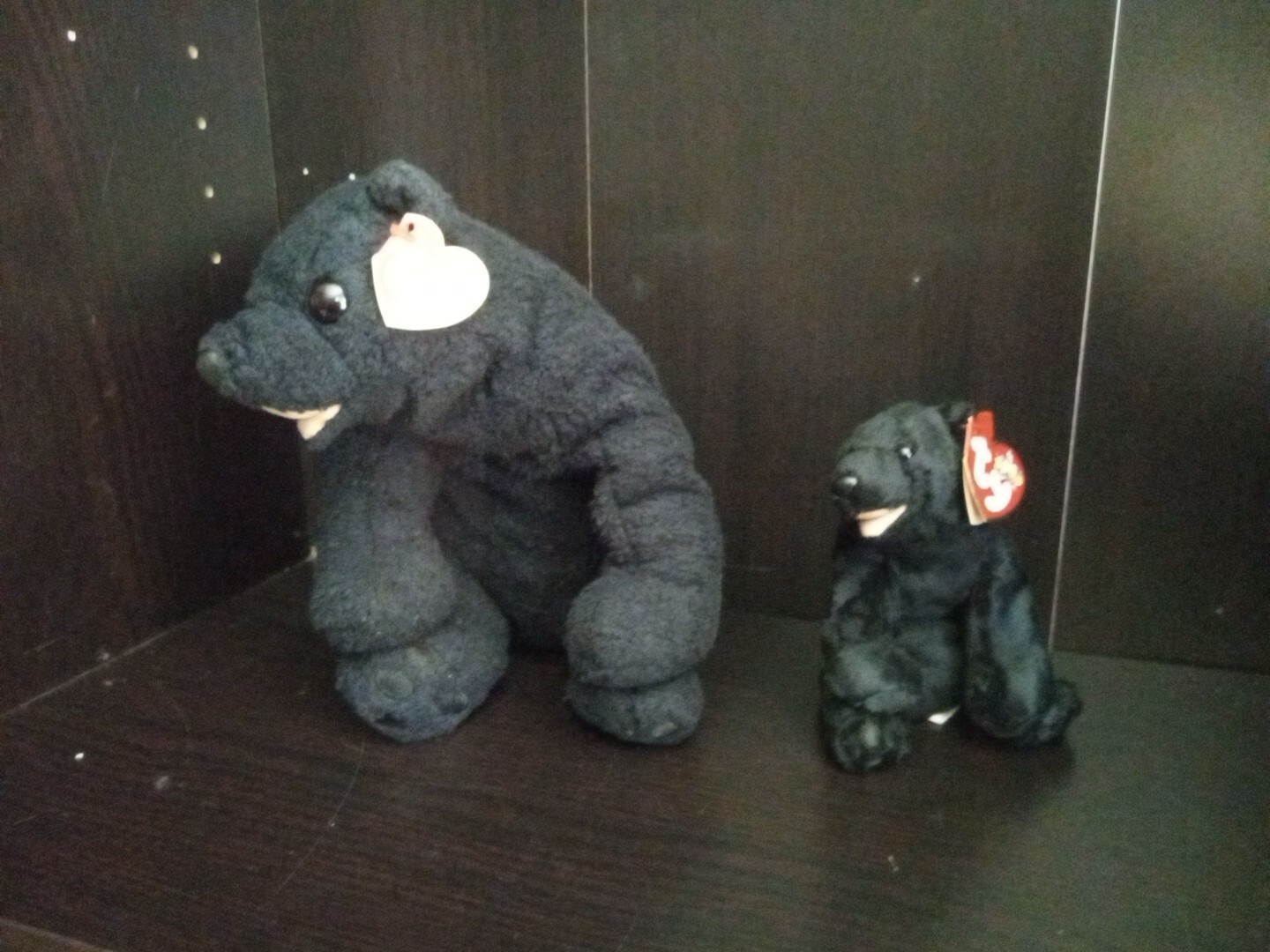 Set Of 2 Ty Beanie Buddy “CINDERS” The Black Polar Bear Large & Normal ...