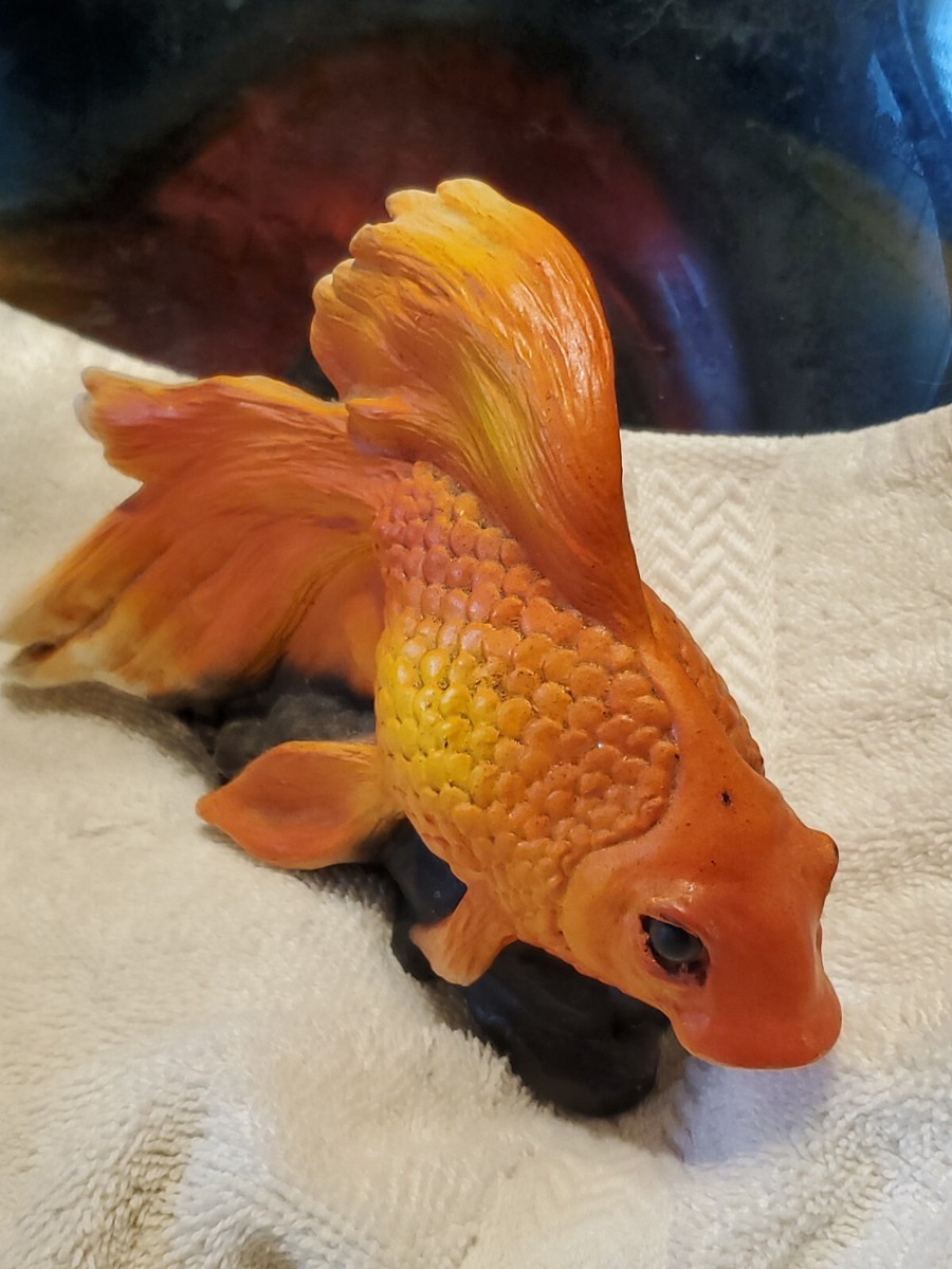 Fancy Goldfish Tail