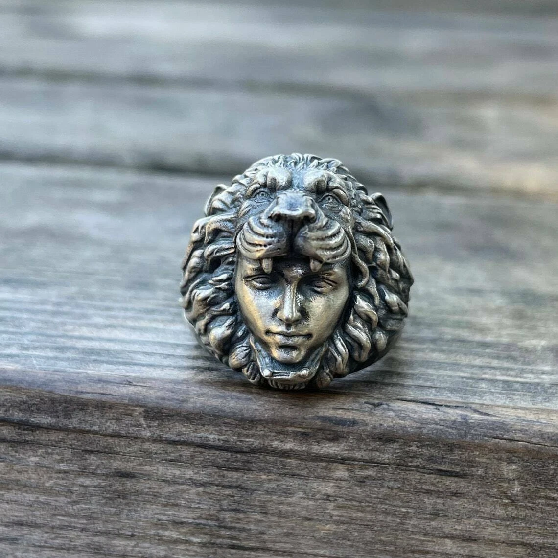 Hercules And Leo The Lion