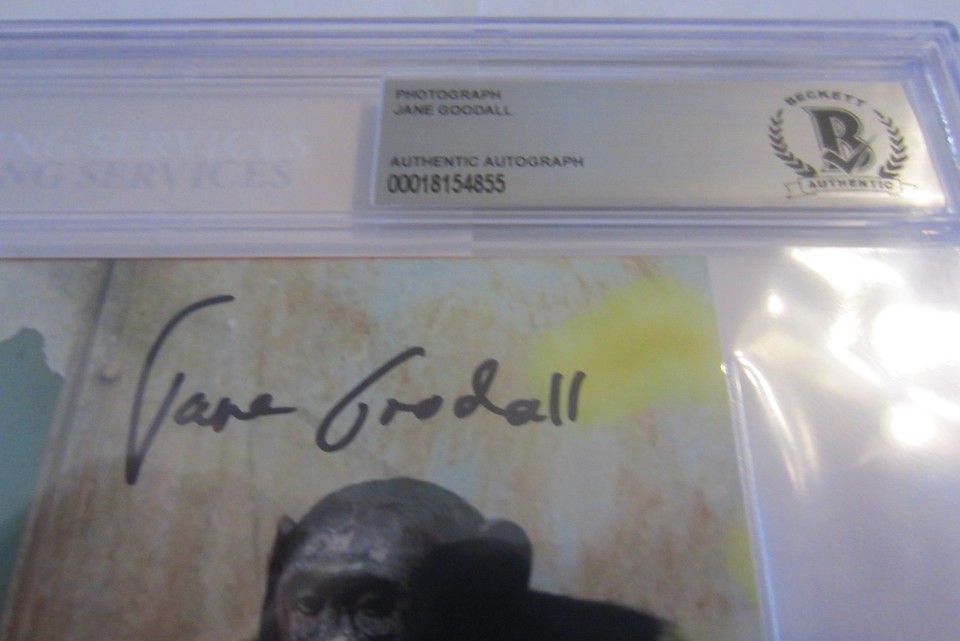 Dr Jane Goodall signed autographed 4x6 photo Beckett BAS zoologist ...