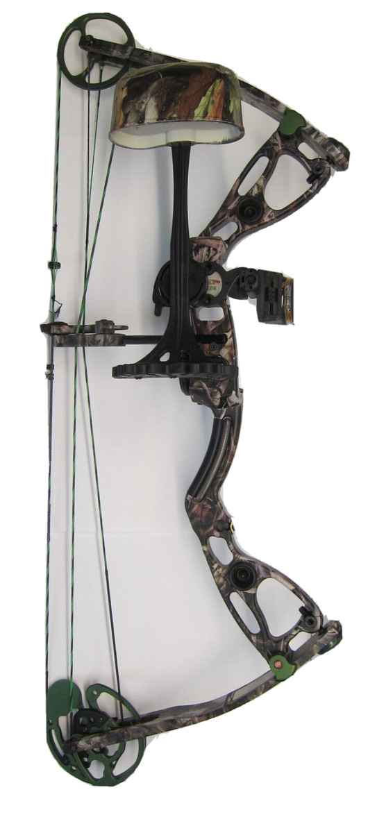 Older Martin Compound Bow