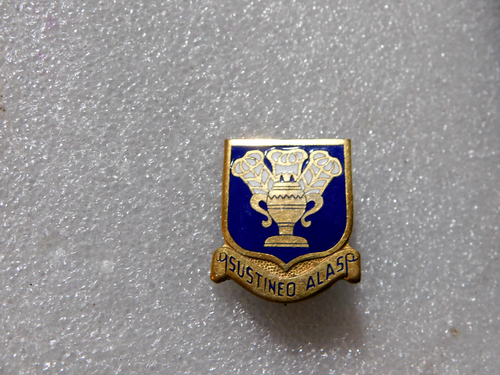 Nice US Air Corp Tech Training Command DUI Distinguished Unit Insignia ...