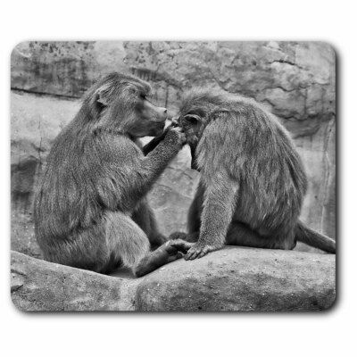 Computer Mouse Mat - Hamadryas Baboons Monkey Office Gift #12561 | eBay UK