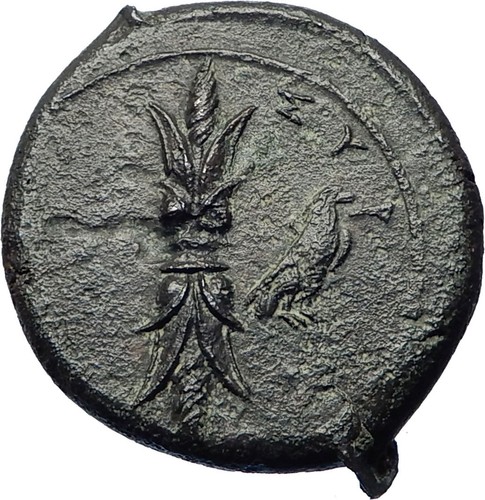 Syracuse in Sicily 344BC Timoleon Zeus Eleutherios Ancient Greek Coin ...