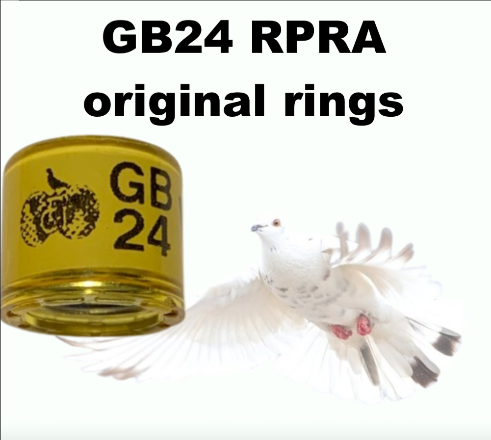 RPRA racing pigeons rings GB 2024 - breeding UK ,original GB24 ...